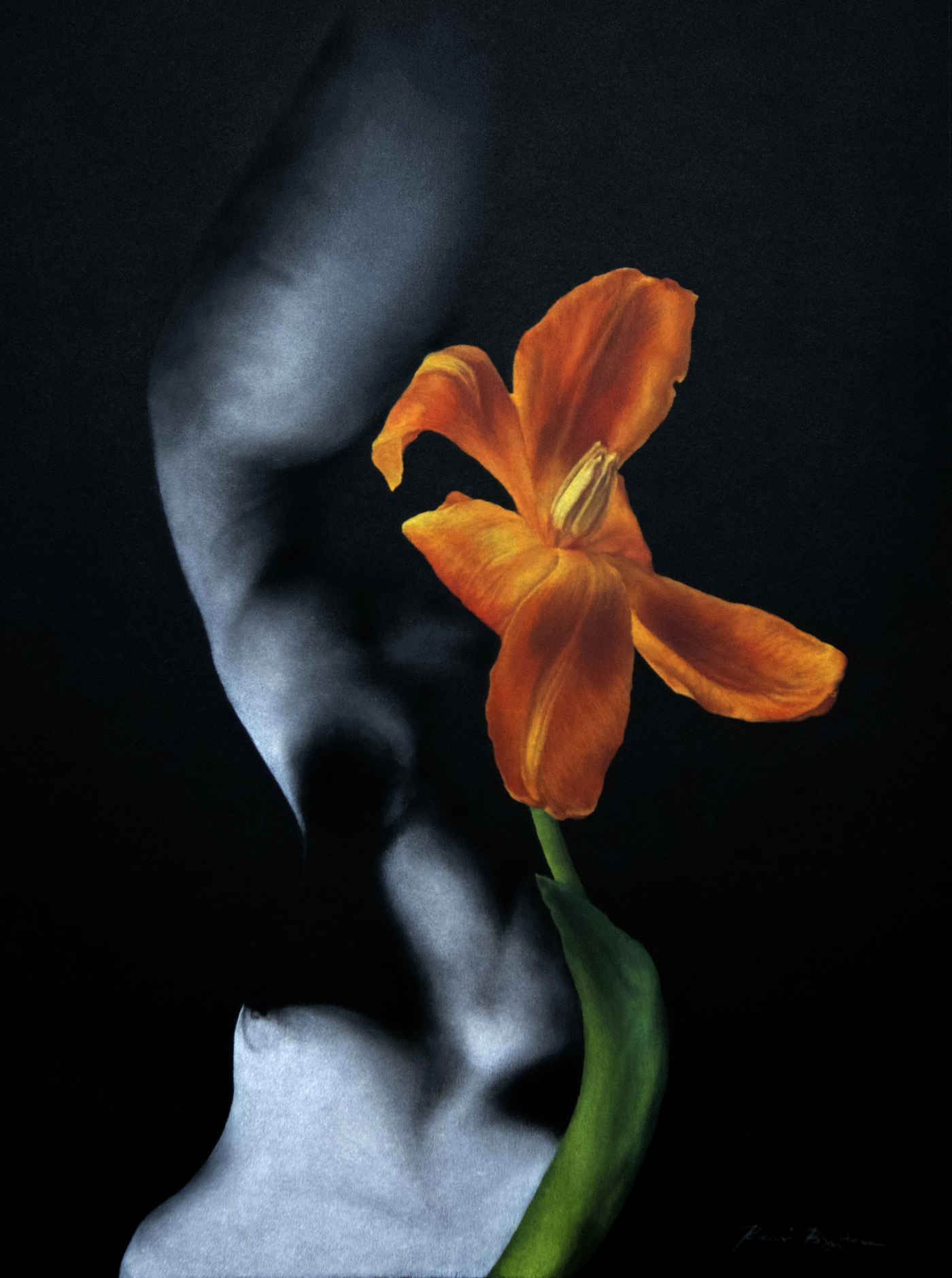 Renée Boynton - Cream of the Crop Artists Gallery